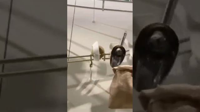 Швейцарские шоколадные автоматы