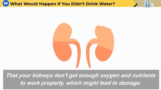 What Would Happen If You Didn’t Drink Water Watch Now? Or You'll Regret ...