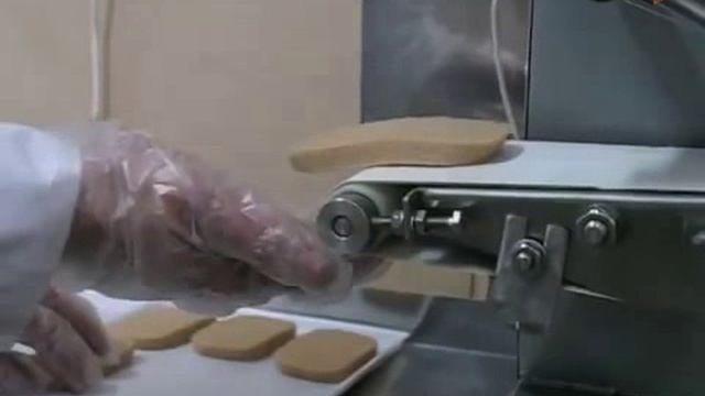 Котлетный аппарат ИПКС-123Н