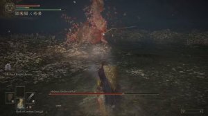 Malenia solo Ng (NO damage) - Hookclaws