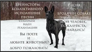 Анонс коллективного исполнения "Песни о бродячей собаке или мой человек, пожалуйста, найдись!"