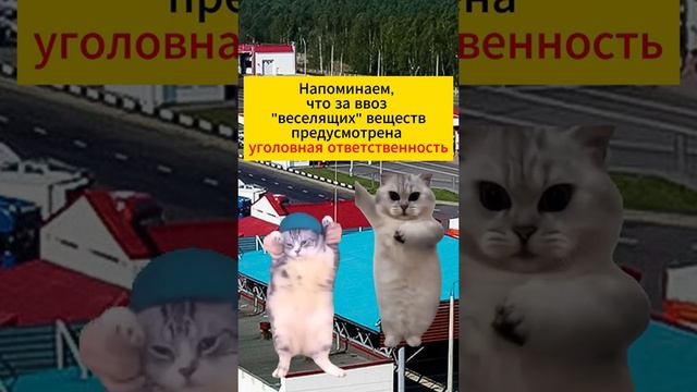 Подпишись