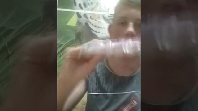 Я показываю покупки из магнита