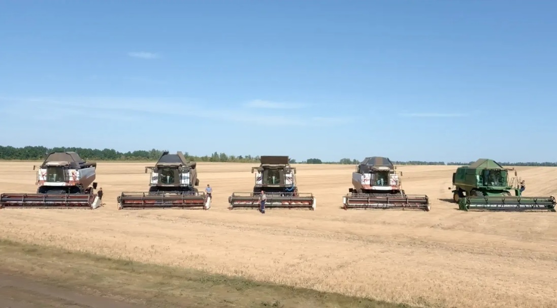 Будем с хлебом! Сбор урожая.