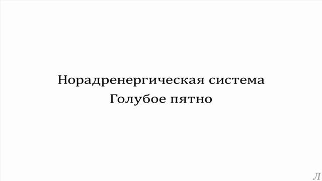 11.11 Подробное разъяснение. Норадренергическая система. Голубое пятно
