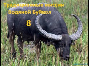 The Hunter classic(Водяной Буйвол 8)