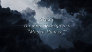 Нин Хина - Полина Нестеренко "Месяц Чувств"