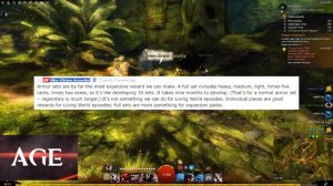 Guild Wars 2 | Outfits vs In Game Armor