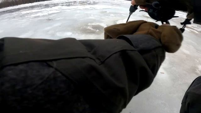 СУДАК В ГЛУХОЗИМЬЕ 2024