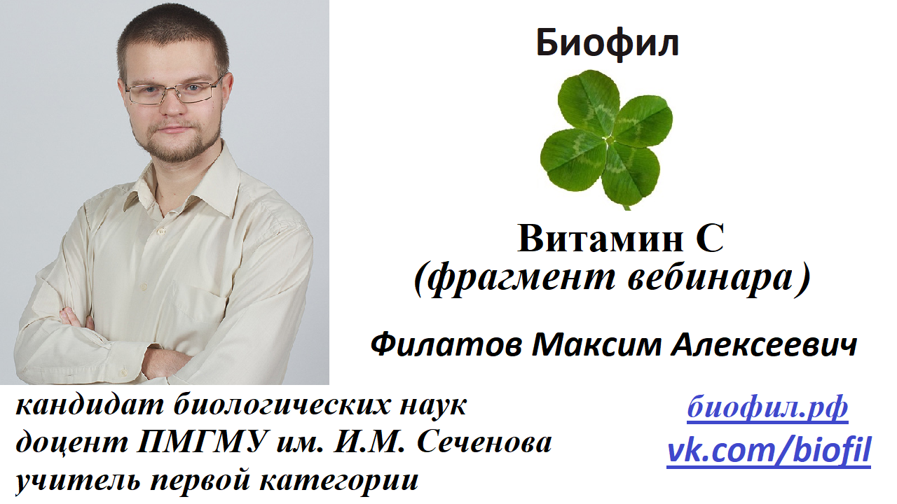 Витамин С || Биофил. Подготовка к ЕГЭ, ОГЭ, ЦТ и ЕНТ по биологии.