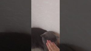 VID-20230522-WA0020.mp4