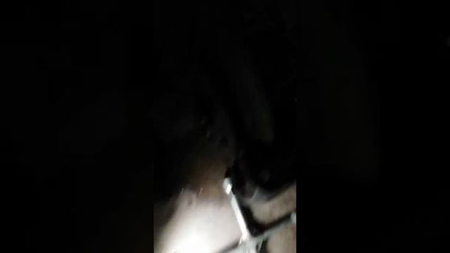 Замена тормозных колодок и тормозных дисков на шкоде.