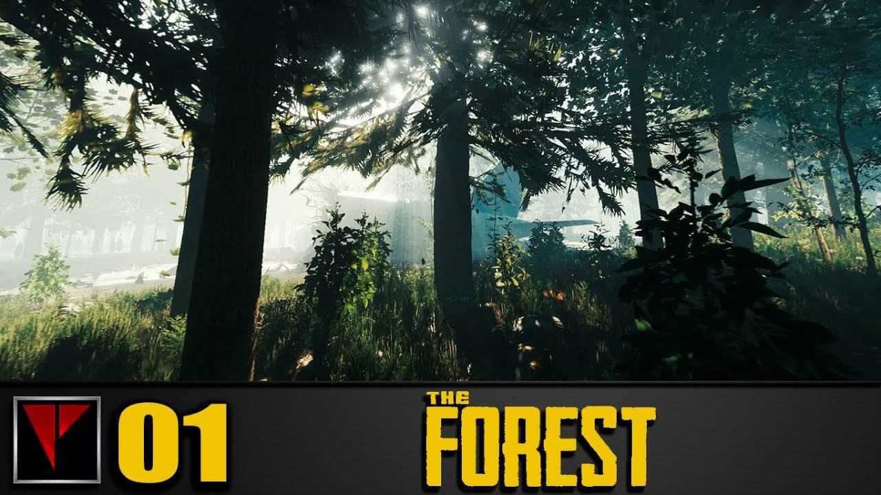 The Forest CO-OP #1 - Хорошее место для дома