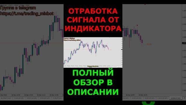 ИНДИКАТОР ДЛЯ БИНАРНЫХ ОПЦИОНОВ 2023 | ЛУЧШАЯ СТРАТЕГИЯ ДЛЯ БИНАРНЫХ ОПЦИОНОВ