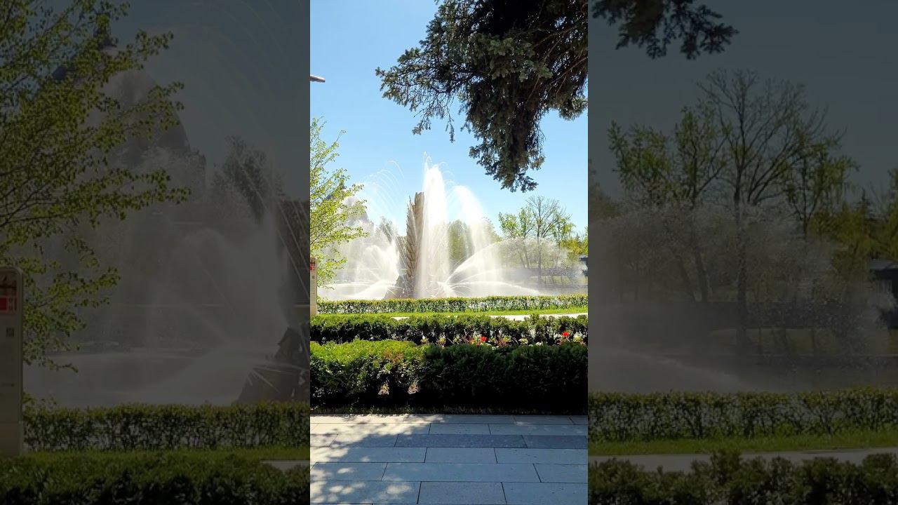 Сезон фонтанов открыт | Fountain season is open