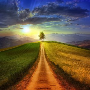 Совет Ангела Хранителя сфера работа_деньги...онлайн расклад...🍀👍✌️🍀🤗 #эзотерика #2023 #гадание