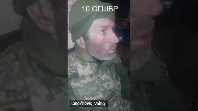 Свежая партия пленных ВСУ, взятые бойцами "Заря" (ранее бойцы ЛНР)