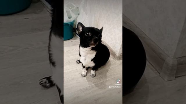 Максим.