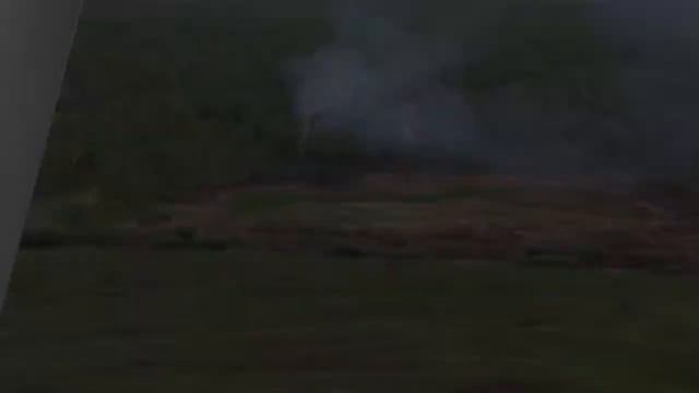 Пожар в лесу. Что надо знать каждому