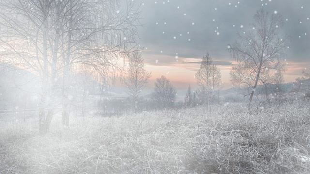 Футаж. Зимний пейзаж 115