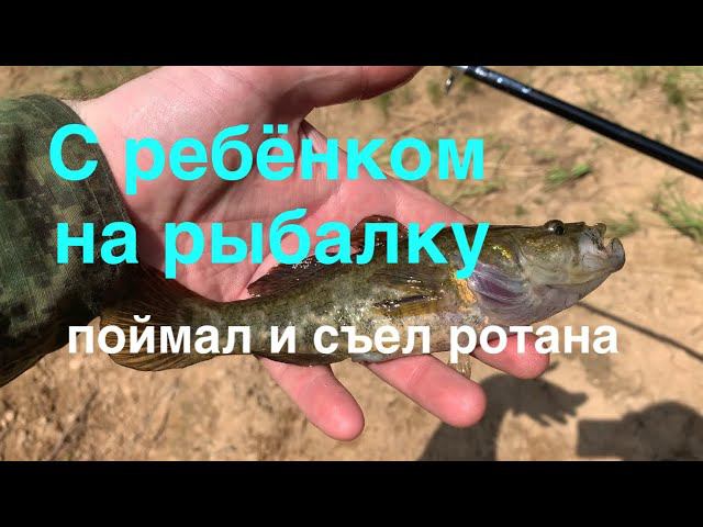 Мини-рыбалка с сыном, он поймал и съел ротана