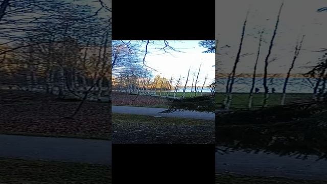 Выборг  парк Монрепо