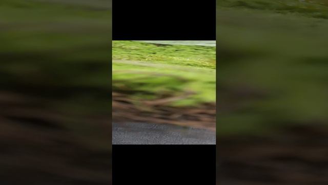VID_20191216_130726.mp4