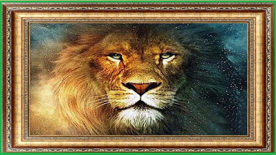 Алмазная вышивка мозаика 5D (Лев)  Распаковка ,обзор посылки из Китая (AliExpress)