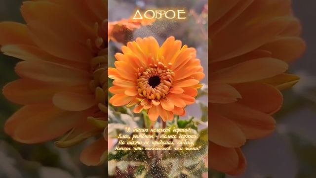 Я шагаю нелёгкой дорогой