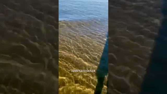 Просто принять себя таким какой ты есть!