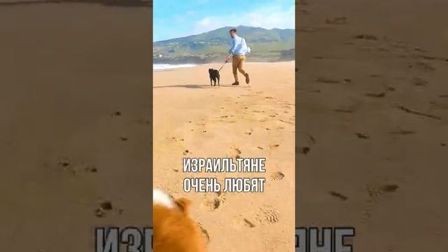 ??ФАКТЫ об Израиле?