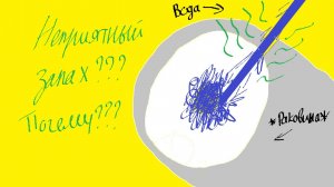 Запах от воды. В чем причина? На что смотреть?
