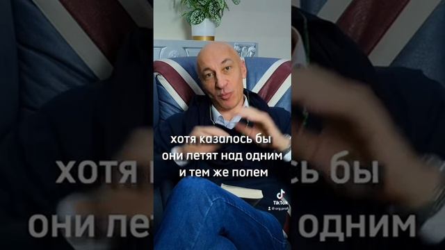КАК ПРИМЕНИТЬ В ЖИЗНИ ПРИТЧУ О МУХЕ И ПЧЕЛЕ?
