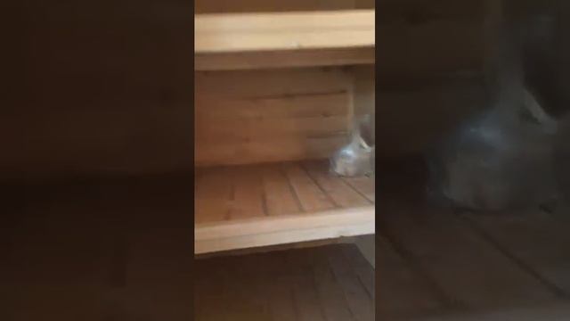 Обшивка балкона, деревом!