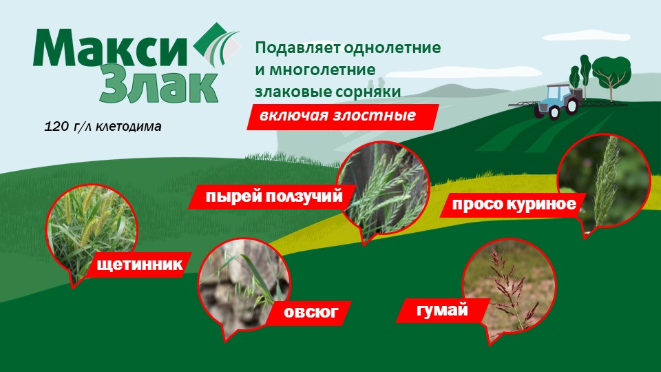 Гербицид Макси Злак