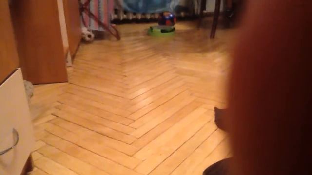 Постирали собаку ч1.mp4