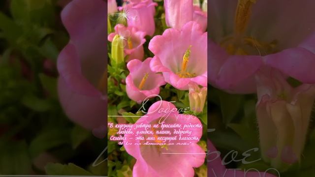 В корзину завтра не бросайте радость