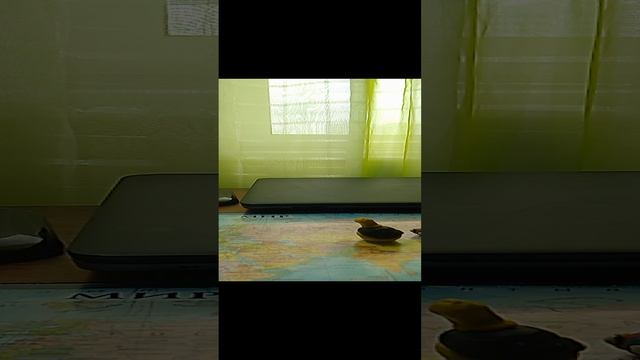 Фильм про страны. 4 часть. Россия захватывает мир.....