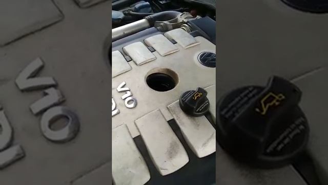 Kaip dirba  VW PHAETON  V10 dizelinis 5L.variklis ( How VW PHAETON V10 5L engine works )