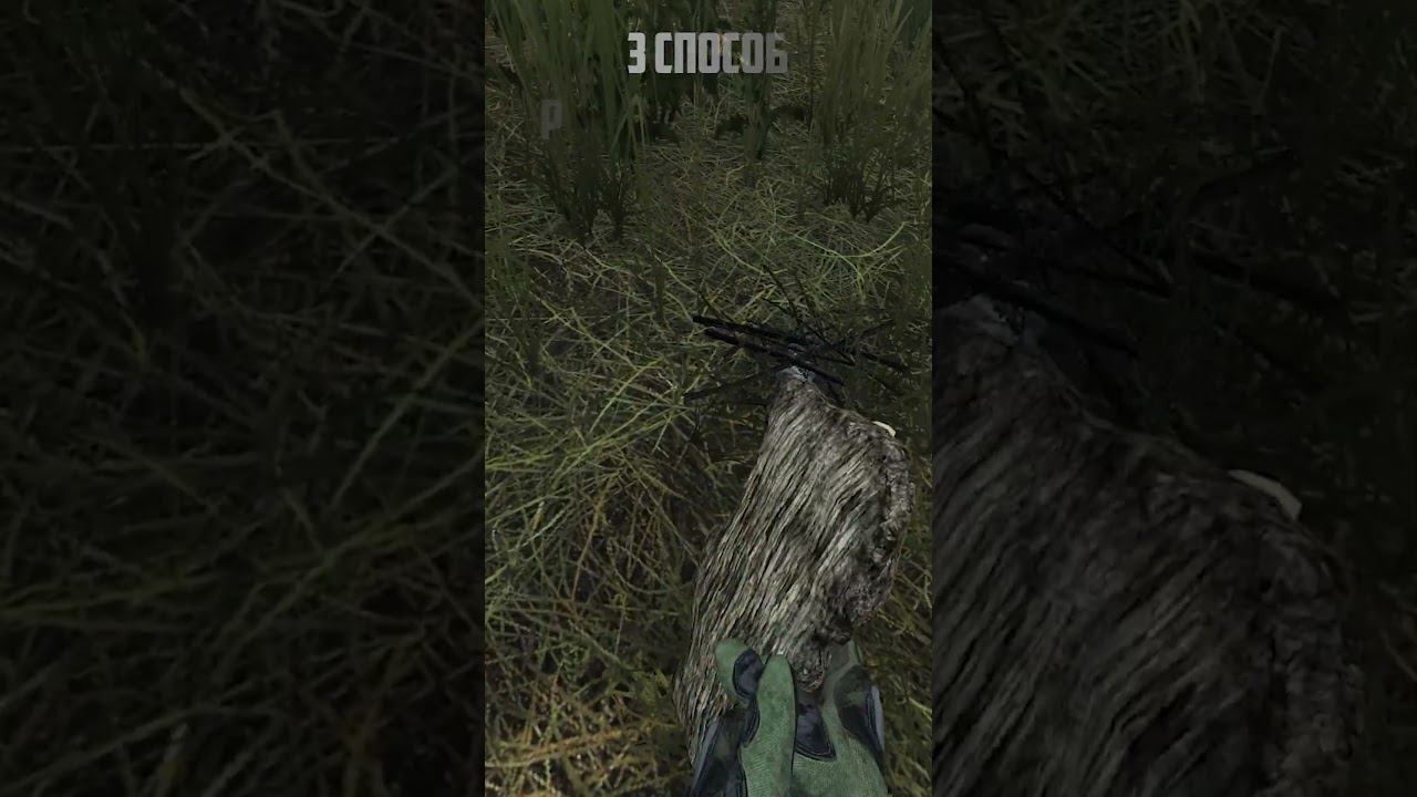 Многие не знают этого DayZ #dayz  #shorts  #nickos  #баги #база  #dayzmoments