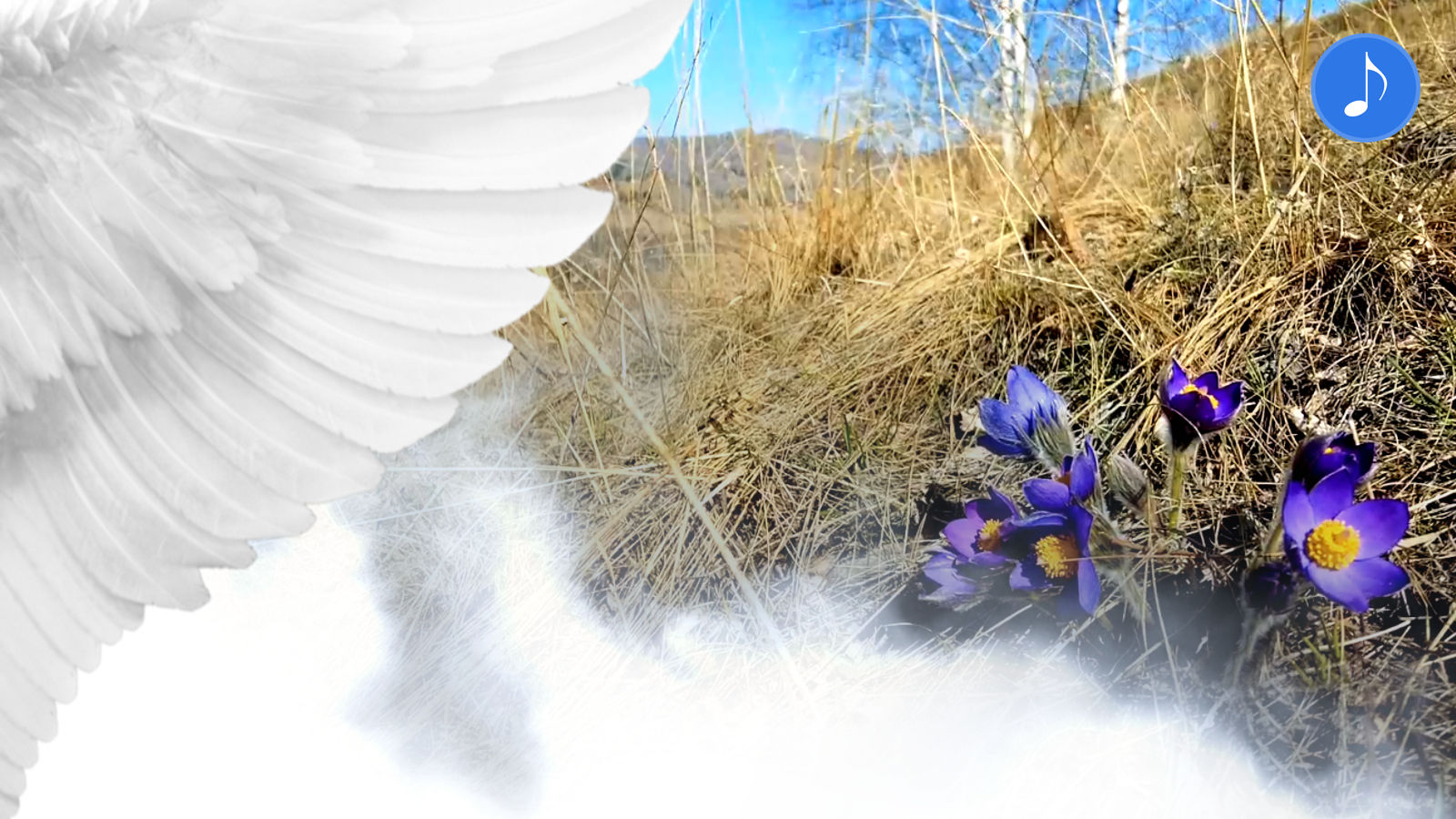 Прогулка на природе / Nature Walk № 52 (April 28 Апрель)