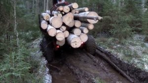 Лесозаготовка на тракторном прицепе АРМАДА (Зачем форвардер если из МТЗ подборщик не хуже)