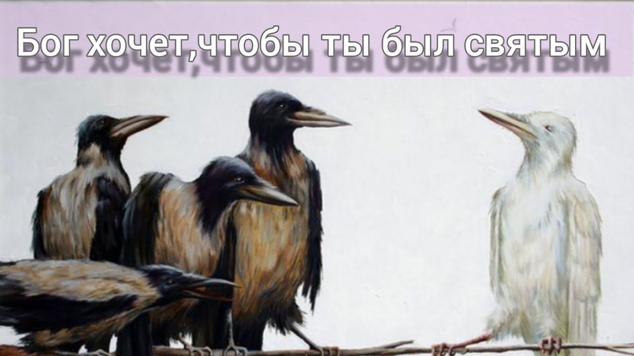 Не следуй за большинством на зло,будь твёрдым в своей непорочности!