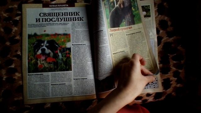 Обзор журналов.