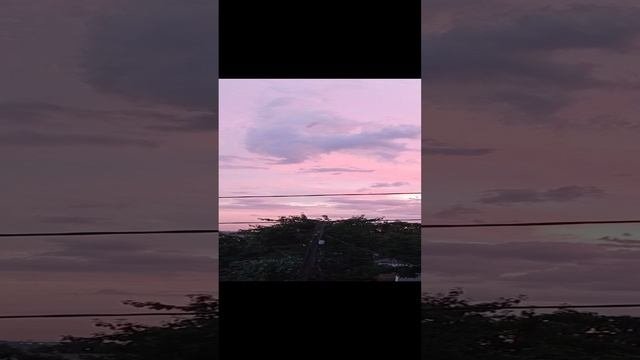 Карточка видео
