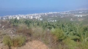 Коп в Турции , Аланья, Махмутлар . Древнеримский город Наула.