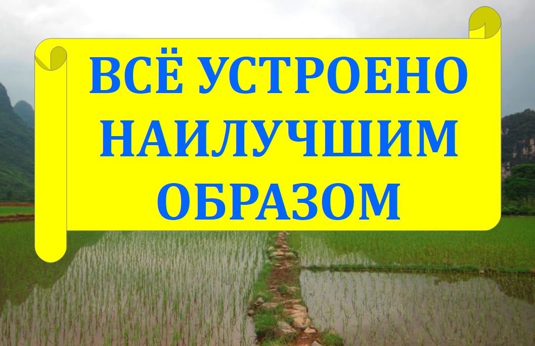 Всё устроено наилучшим образом. Истории со смыслом из древности