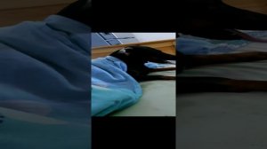 20230528_115355.mp4