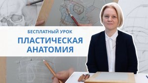 Лекция по анатомии для художников. Рисуем череп