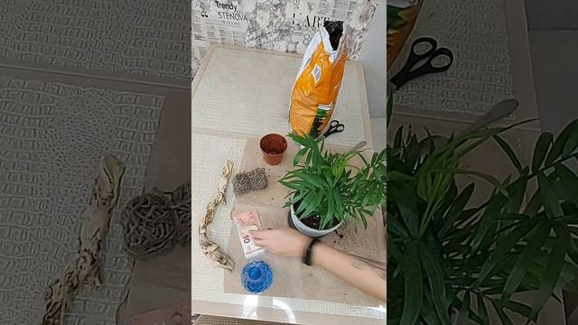 ТАЛИСМАН ДЛЯ БЛАГОПОЛУЧИЯ "ДЕНЕЖНОЕ ДЕРЕВО"